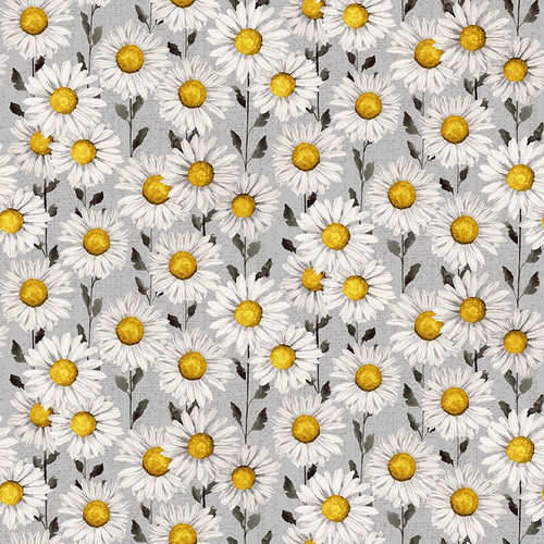 Daisies in Grey